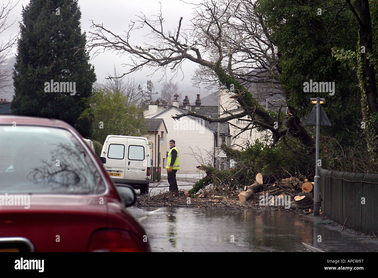 a traffic jam caused by a tree blocking a road after a storm in keswick ...