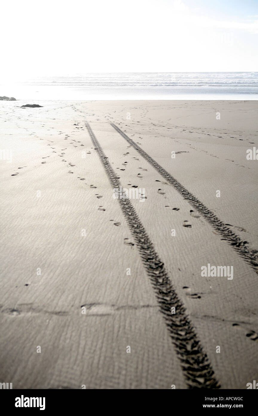 Tracks in the sand Stock Photo - Alamy