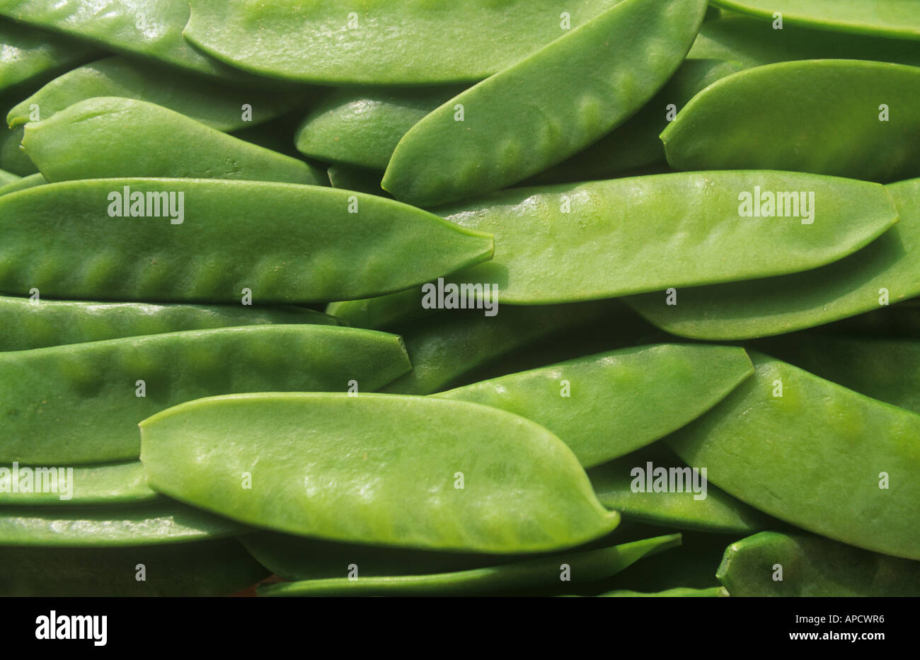 Mange hi-res stock photography and images - Alamy