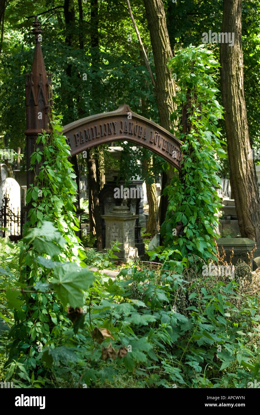 Graves at Jewish Cemetery in Warsaw, Poland Stock Photo - Alamy
