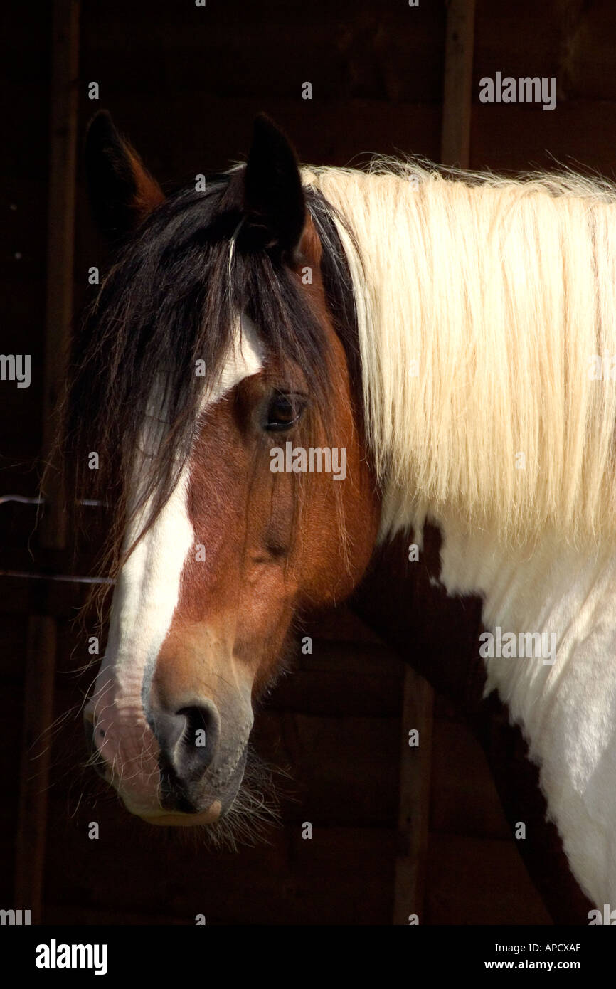 Who you looking at hi-res stock photography and images - Alamy
