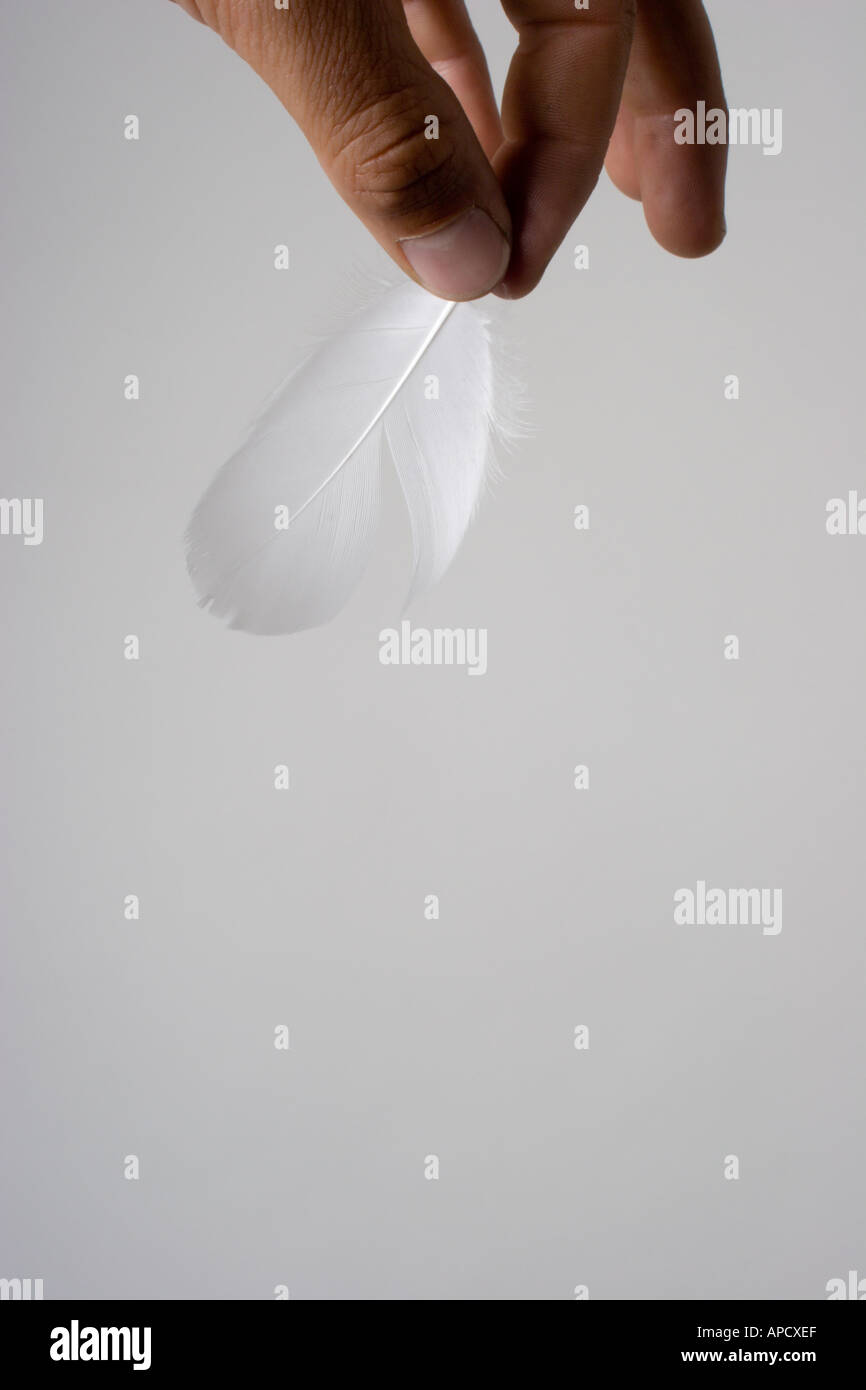 white feather falling downwards in the air done with a white background ...