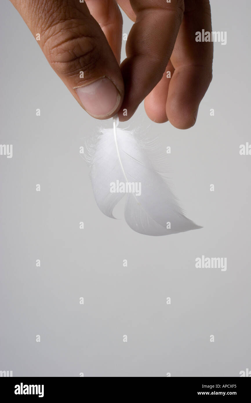 white feather falling downwards in the air done with a white background ...