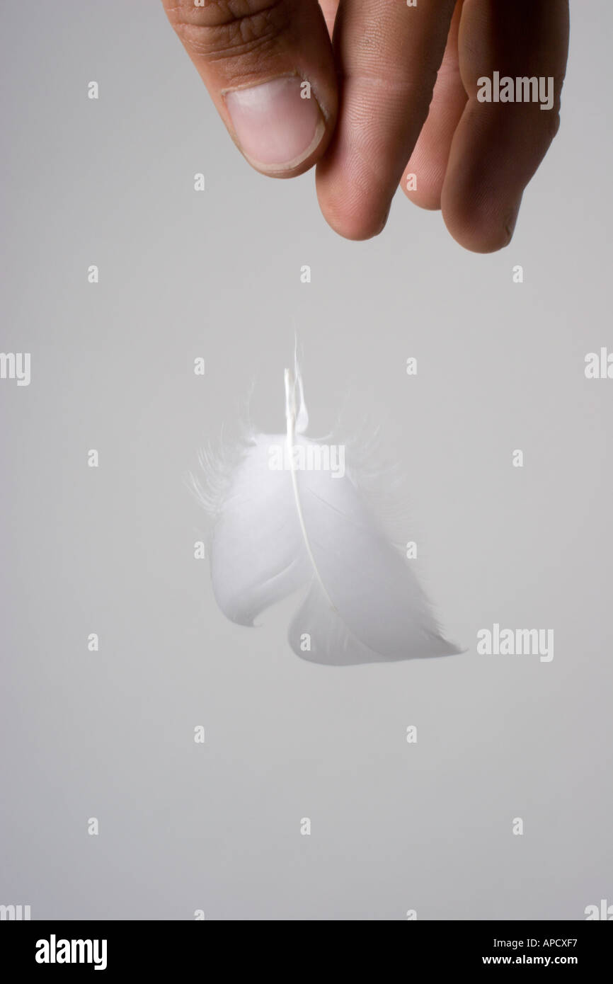 white feather falling downwards in the air done with a white background ...