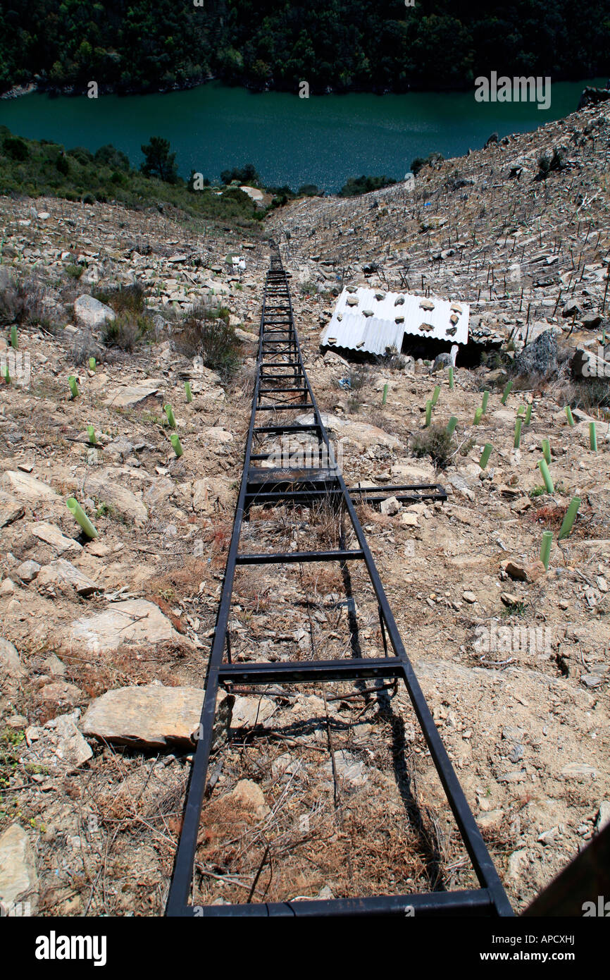 Terracing for vines, Ribeira Sacra, Galicia, Spain. The ladder is used ...
