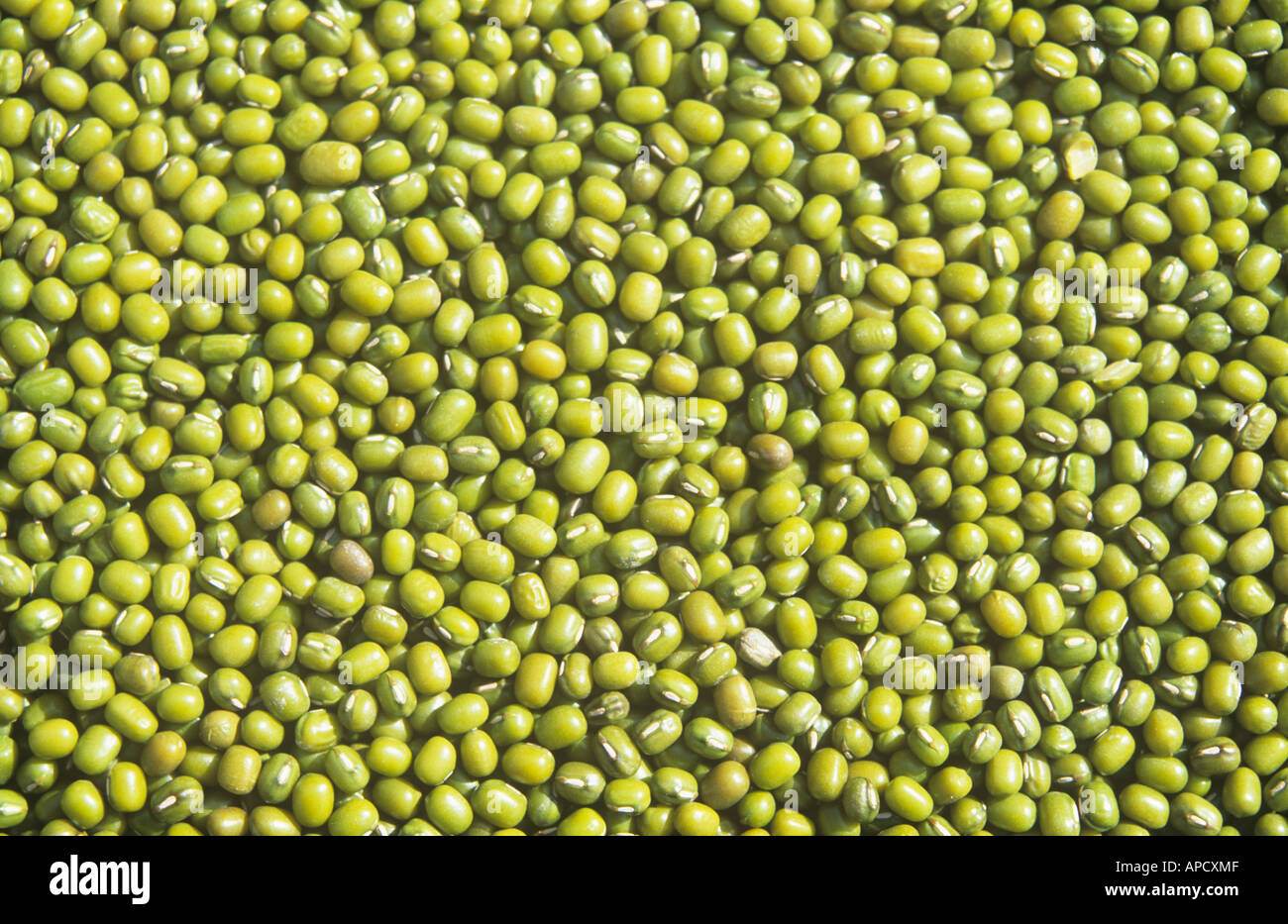 Mung beans, uncooked Stock Photo - Alamy