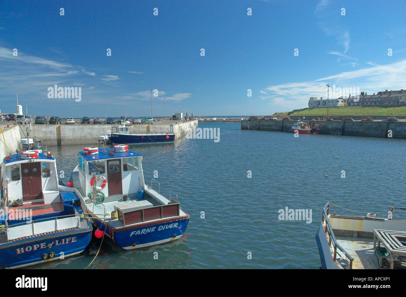 Boats in harbour Seahouses Northumberland England Stock Photo - Alamy