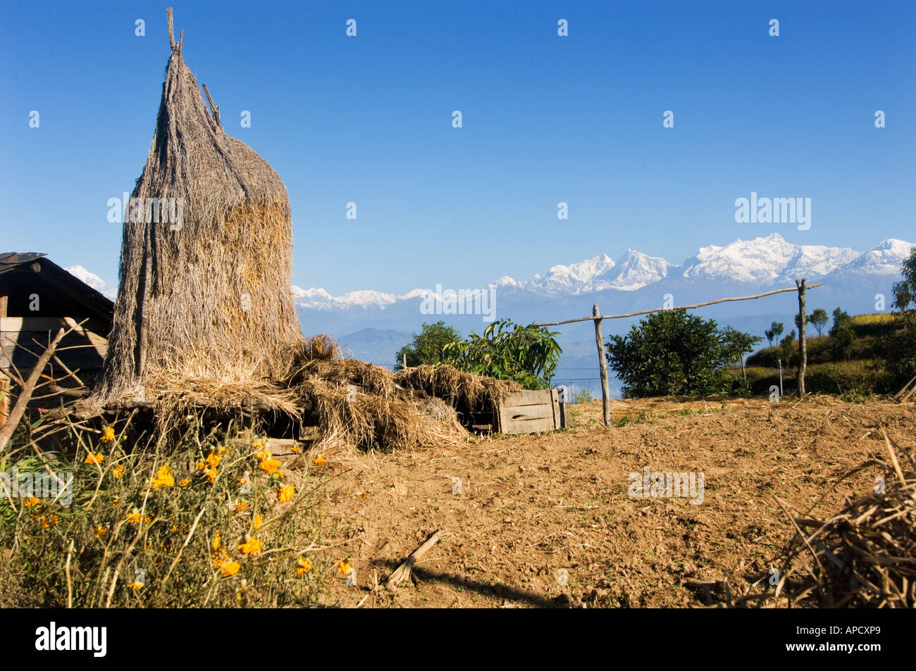 farm Himalaya Himalayan landscape hill valley mountains range of hills ...