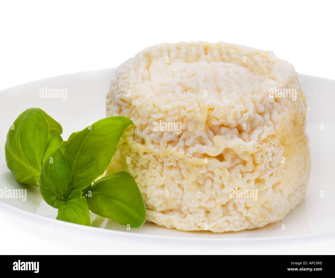 original traditional french cheese goat goat cheese little roll ...