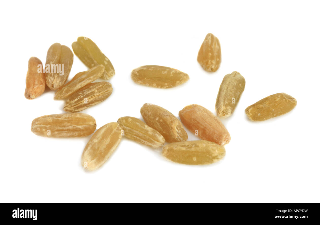 Single grains hi-res stock photography and images - Alamy