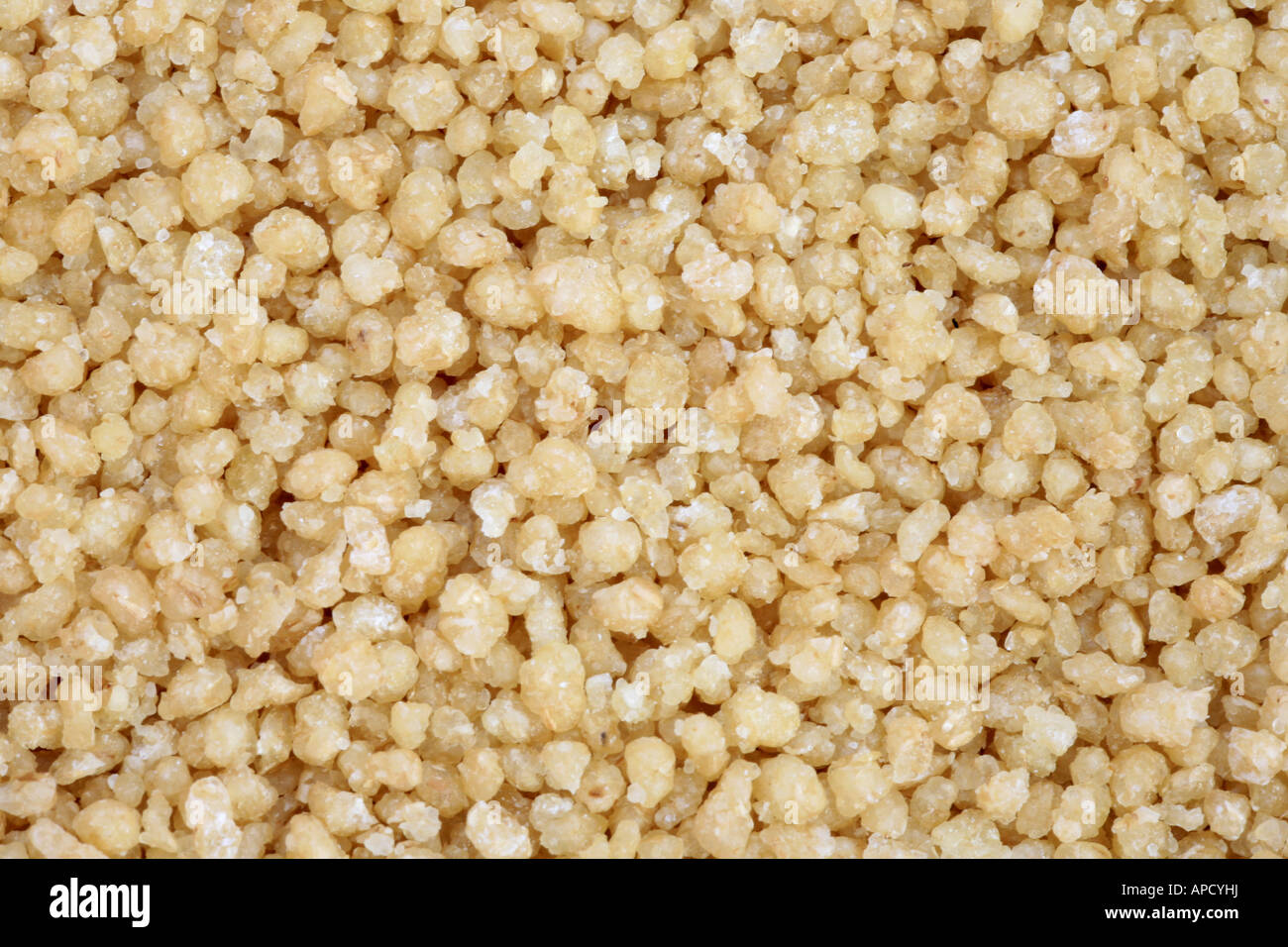 Durum Wheat Triticum turgidum ssp. durum Triticum durum Couscous grains ...