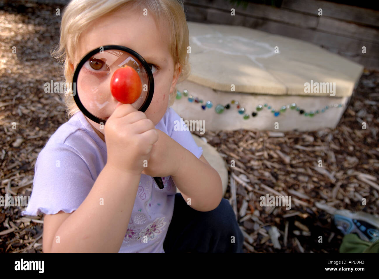 a child looking at seeds through a magnifying glass Stock Photo - Alamy