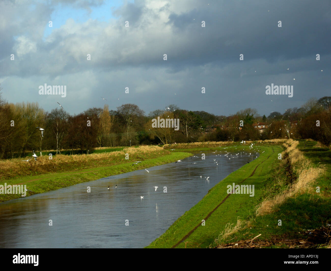 river mersey near didsbury Stock Photo - Alamy