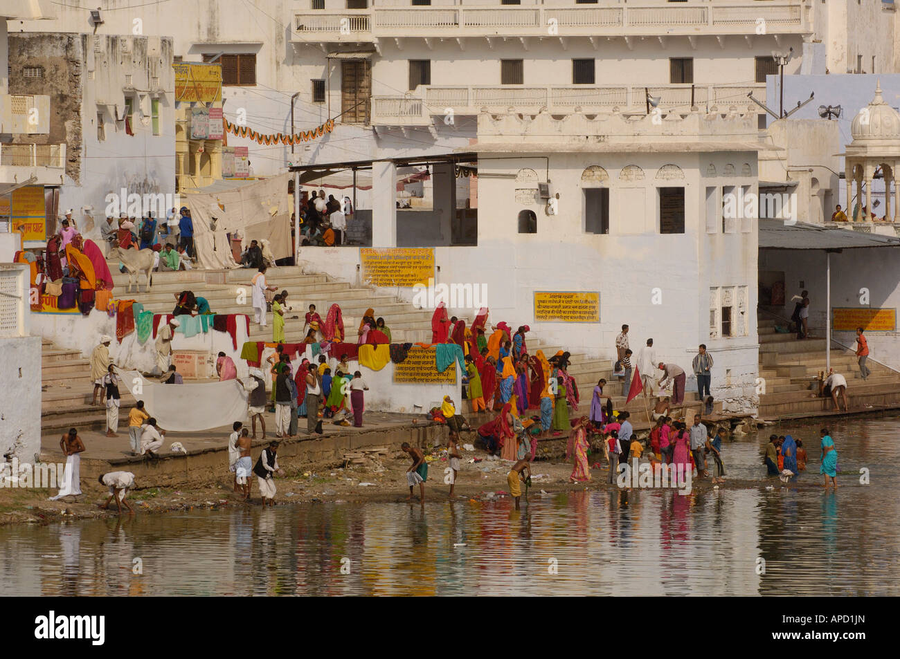 The devout who have come to the Sarovar or Pushkar Lake with it's 52 ...