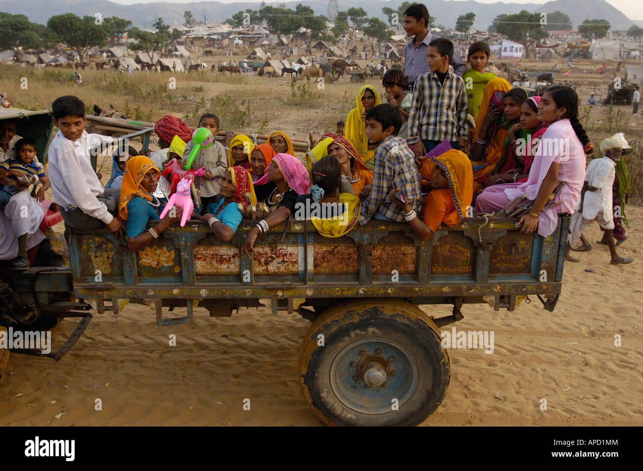 Pilgrim pushkar cattle fair rajasthan india people hi-res stock ...
