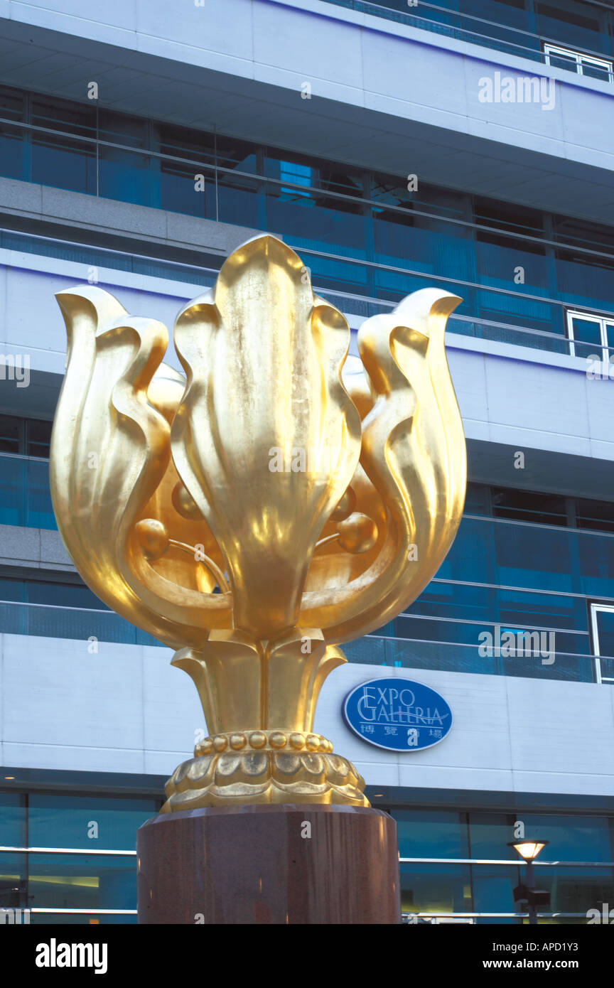 Golden Bauhinia Square Stock Photo - Alamy