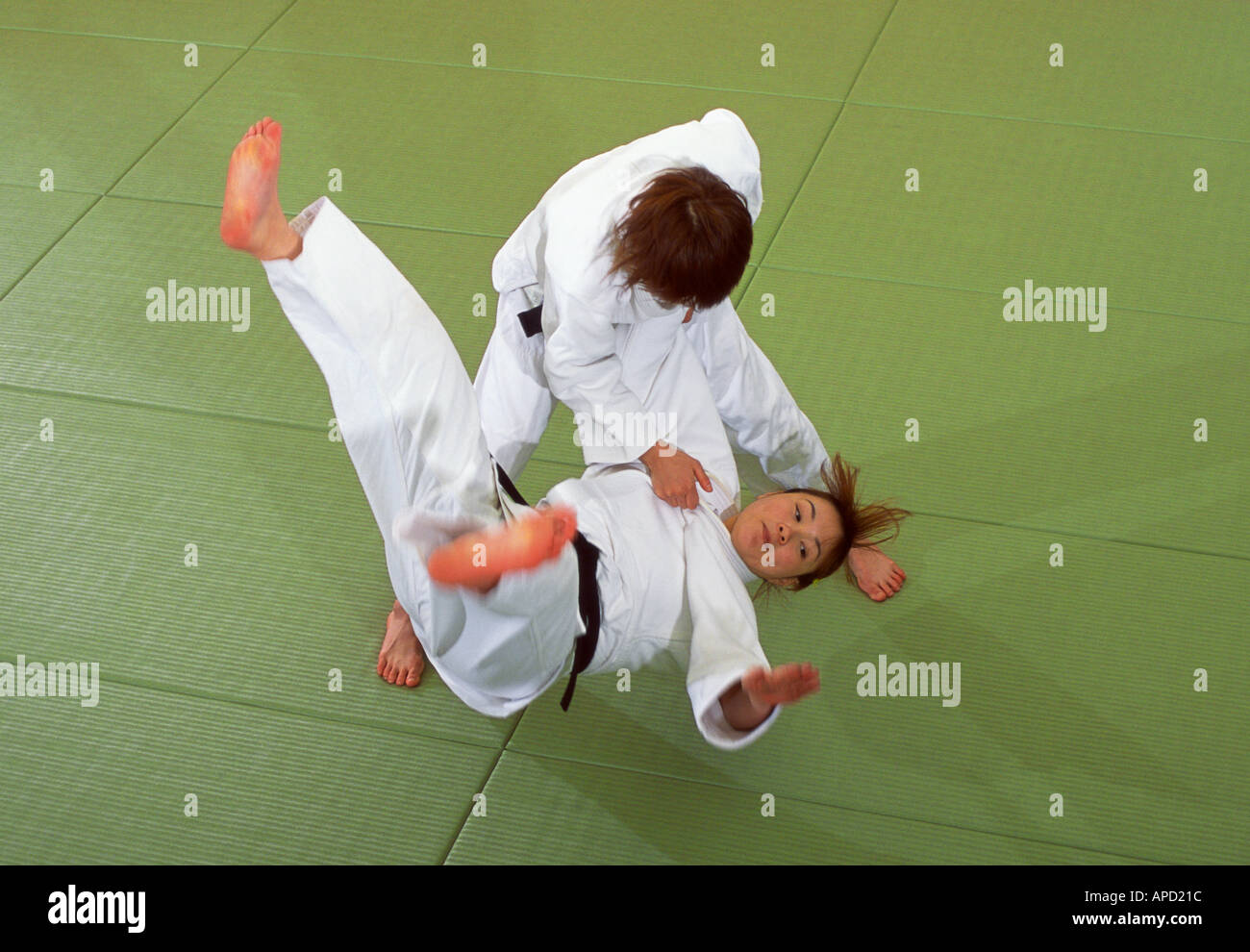 Sport Combat Martial Arts Judo Stock Photo - Alamy