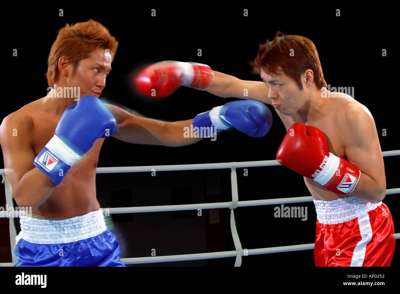 Close up of two men boxing hi-res stock photography and images - Alamy