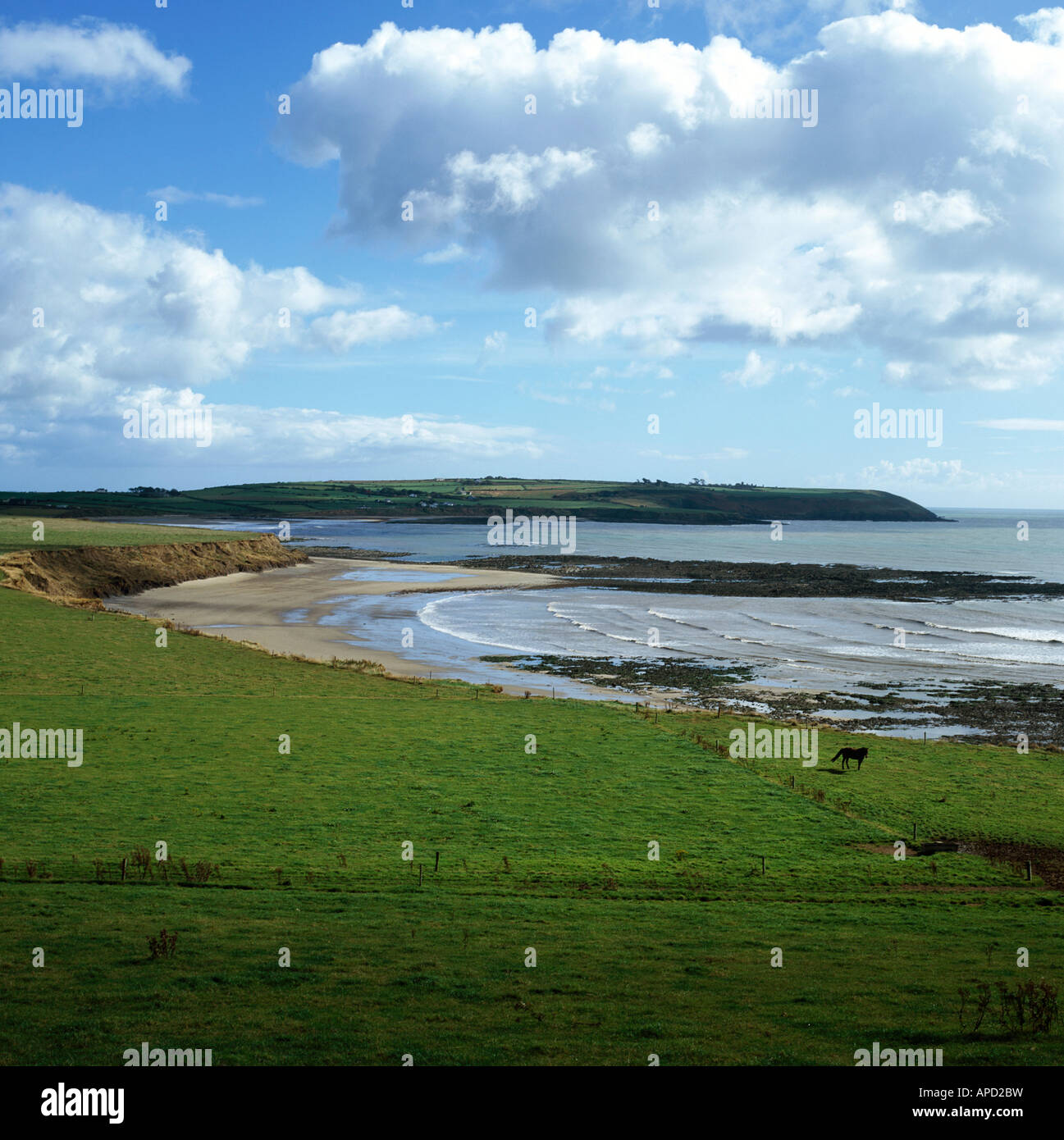 WHITING BAY. WATERFORD. IRELAND Stock Photo - Alamy