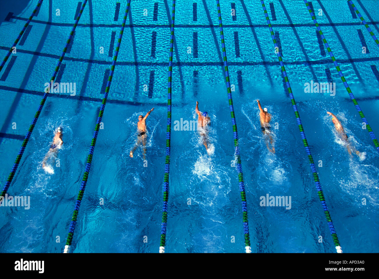 Sport Swimming Freestyle Stock Photo - Alamy