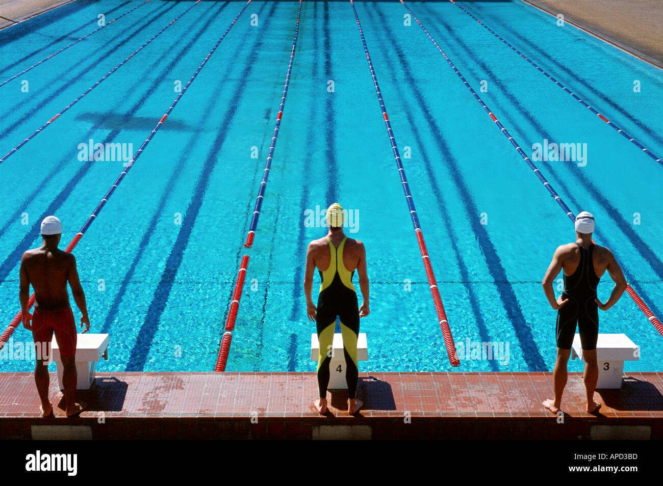 Sport Swimming Start Stock Photo - Alamy
