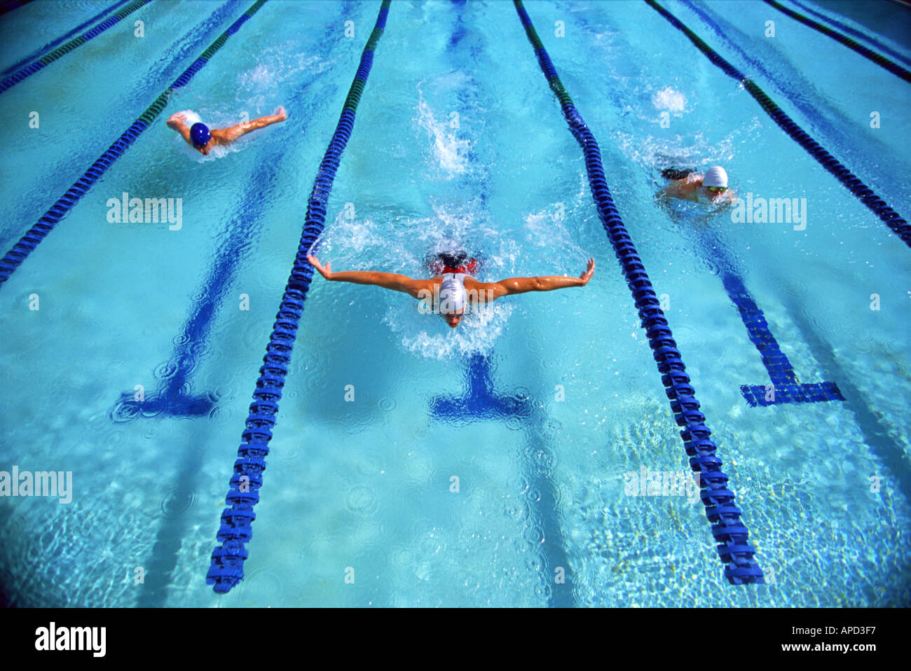 Sport Swimming Butterfly Stock Photo - Alamy