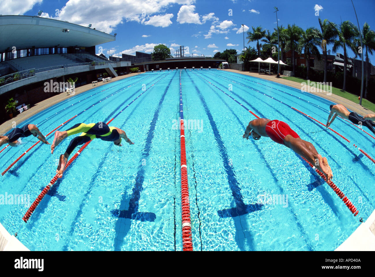Sport Swimming Start Stock Photo - Alamy