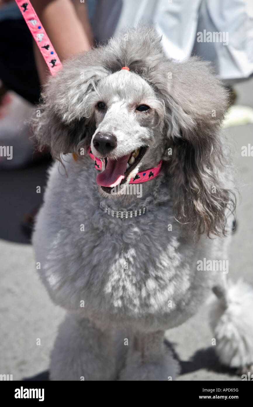 Clipped hi-res stock photography and images - Alamy