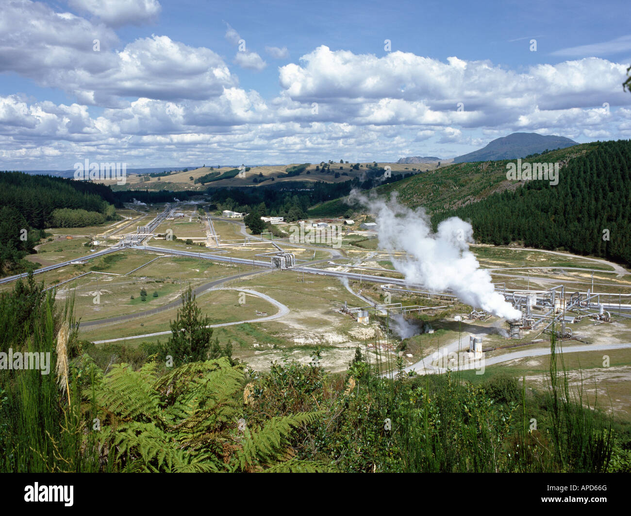 WAIRAKEI. NORTH ISLAND. NEW ZEALAND Stock Photo - Alamy