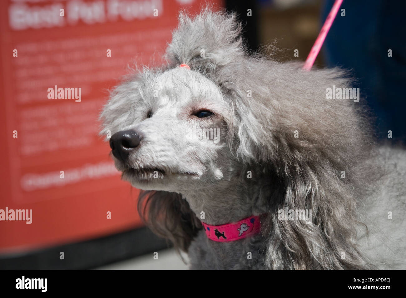 Clipped hi-res stock photography and images - Alamy