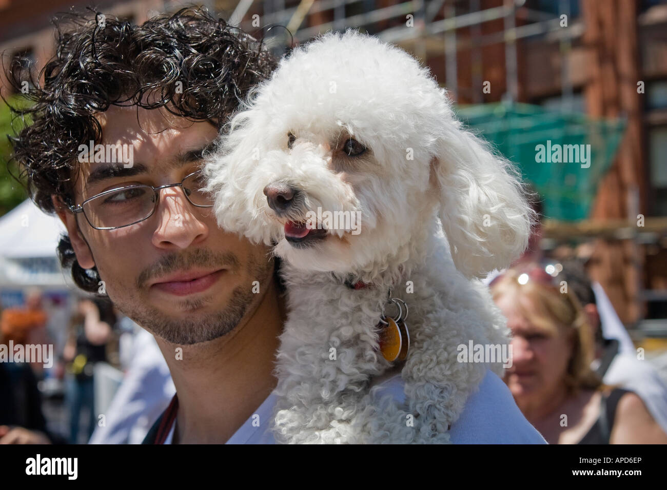 Man and his friend white poodle sitting on his shoulder Stock Photo - Alamy