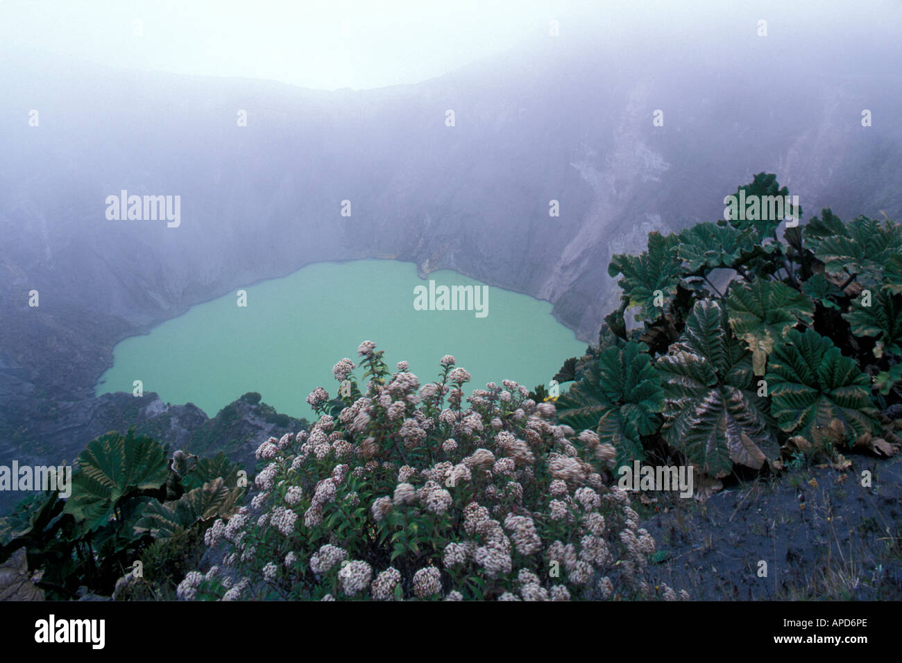 Costa Rica Volcán Irazú National Park Vegetation grows on steep slopes ...