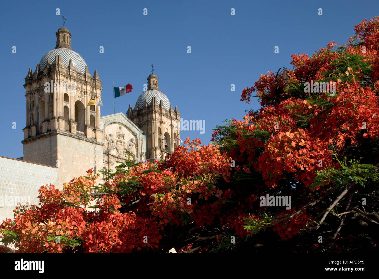 Mexico Oaxaca Setting sun lights flame trees and the Templo Santo ...