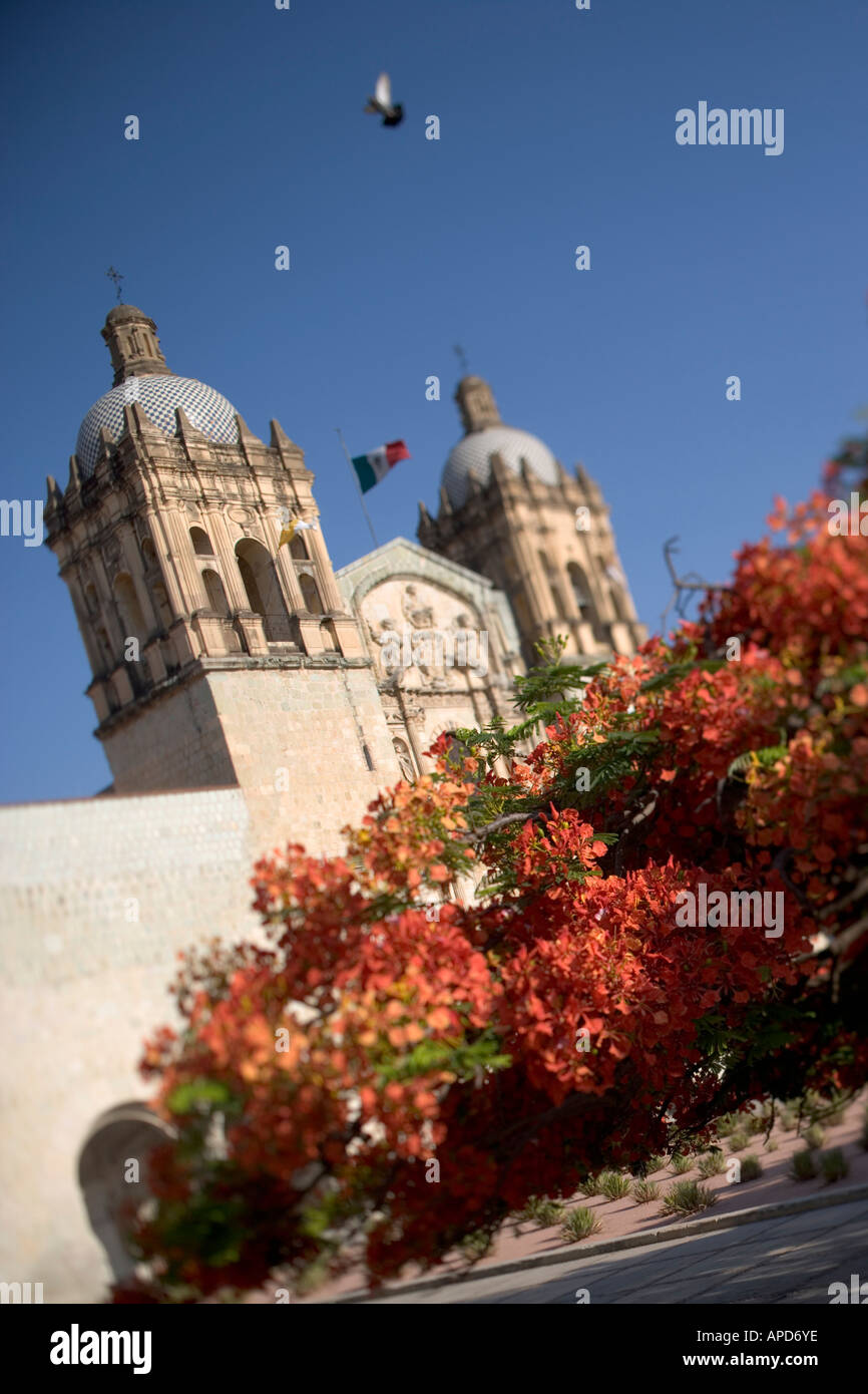 Mexico Oaxaca Setting sun lights flame trees and the Templo Santo ...