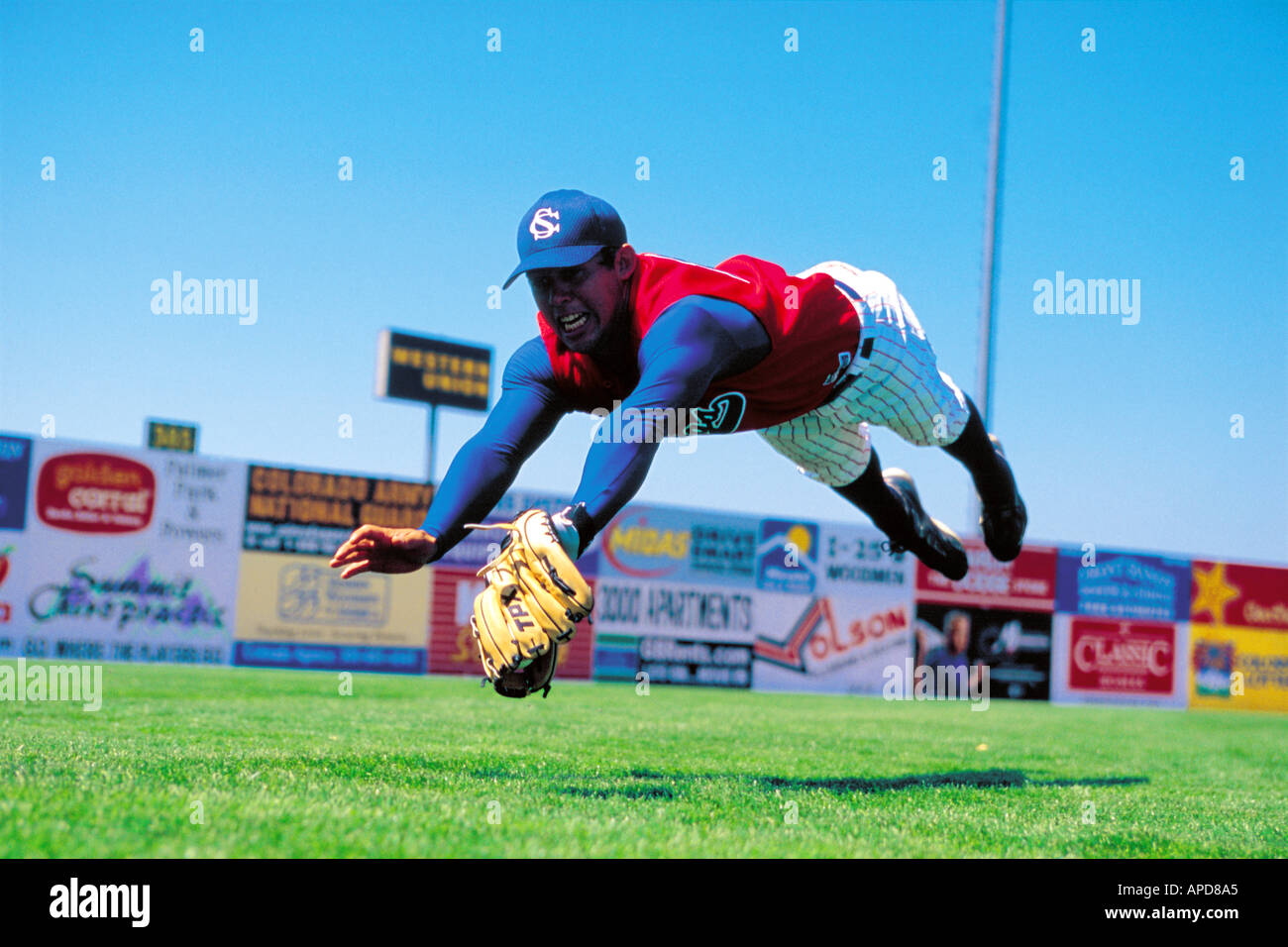 Catch outfield ball hi-res stock photography and images - Alamy