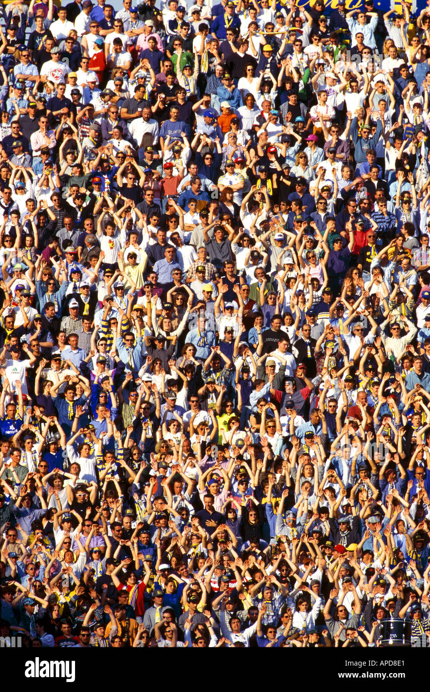 Crowd spectator standing playing sport competition hi-res stock ...
