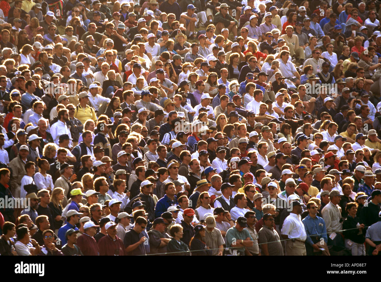 Crowd spectator standing playing sport competition hi-res stock ...