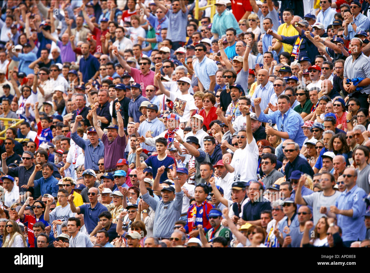 Crowd spectator standing playing sport competition hi-res stock ...