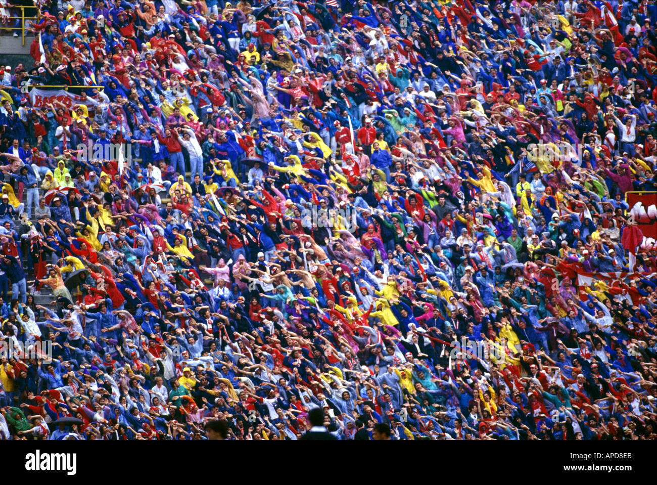 Crowd spectator standing playing sport competition hi-res stock ...