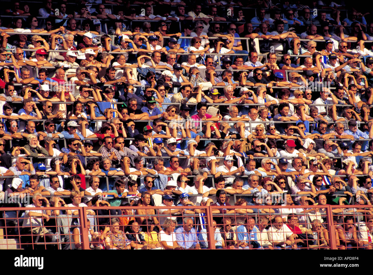 Crowd spectator standing playing sport competition hi-res stock ...