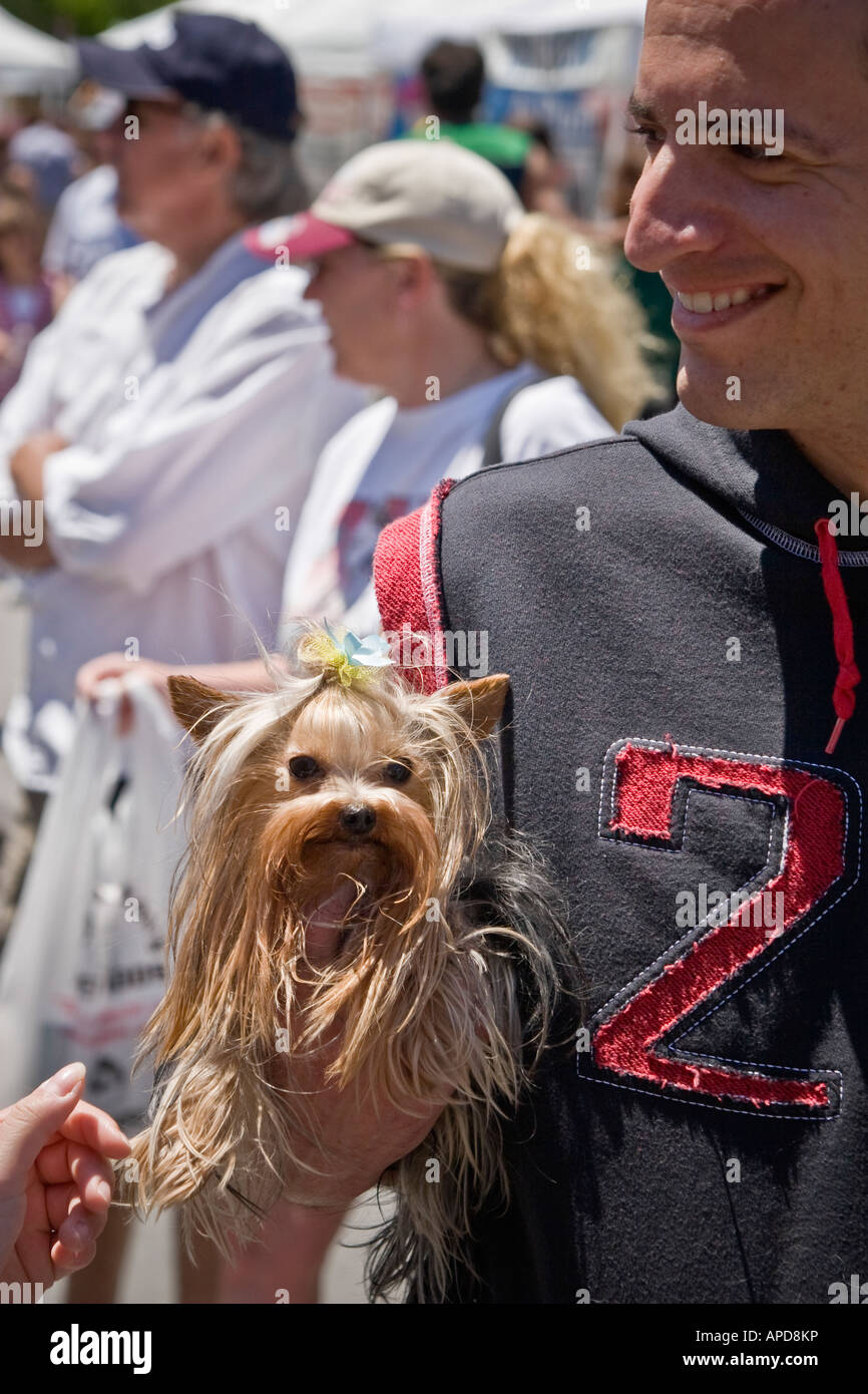 Man holding Yorkshire Terrier dog in arm Stock Photo - Alamy