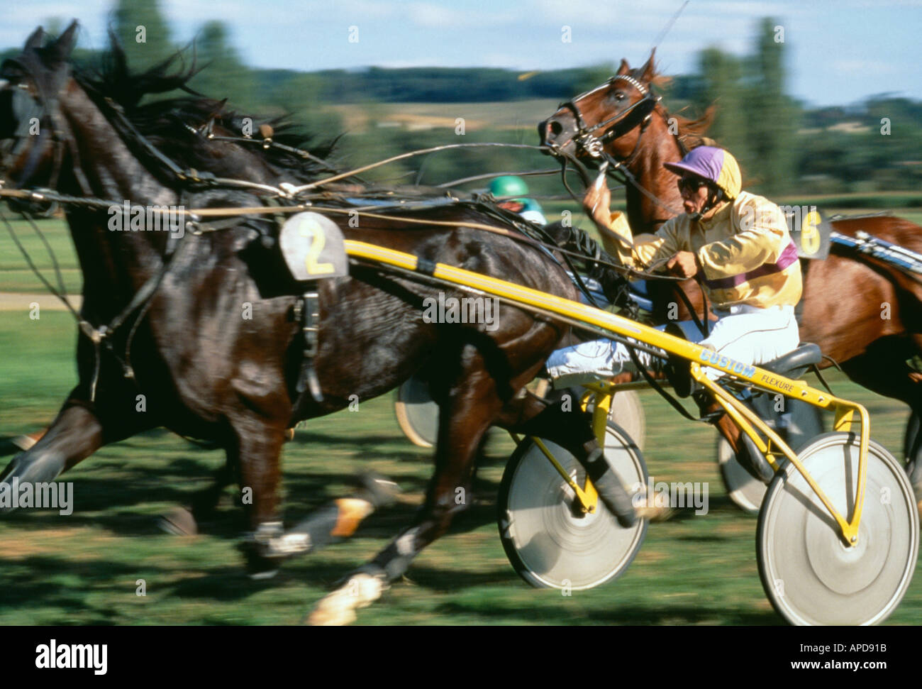 Trotting track hi-res stock photography and images - Alamy