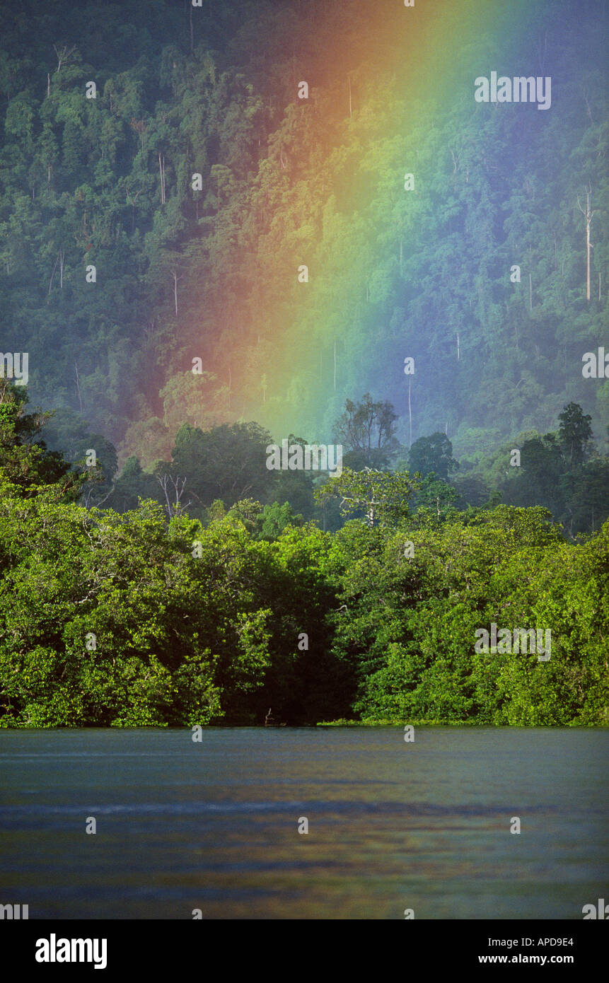 Rainbow over rainforest, East Kalimantan, Indonesia Stock Photo - Alamy