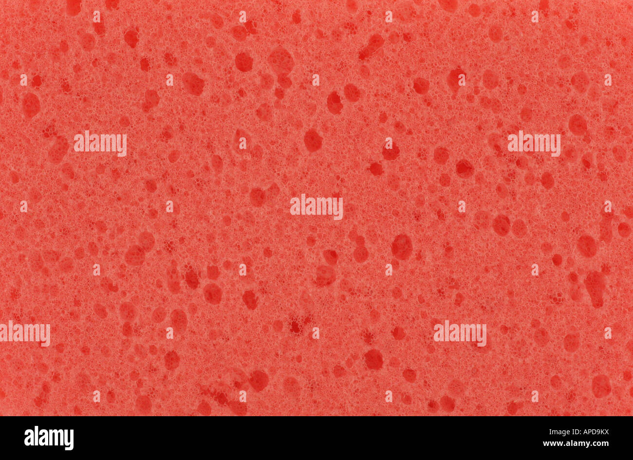 Vivid red sponge hi-res stock photography and images - Alamy