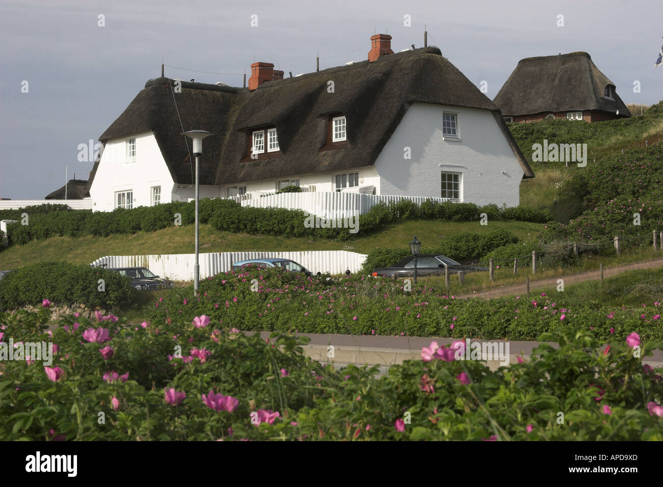 House by sand dunes at Rantum Sylt Stock Photo - Alamy