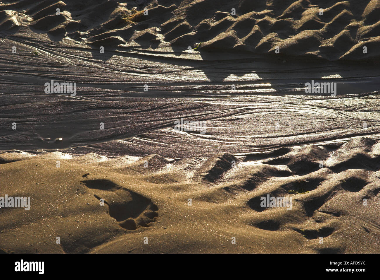 Mysterious patterns in sand on beach Stock Photo - Alamy