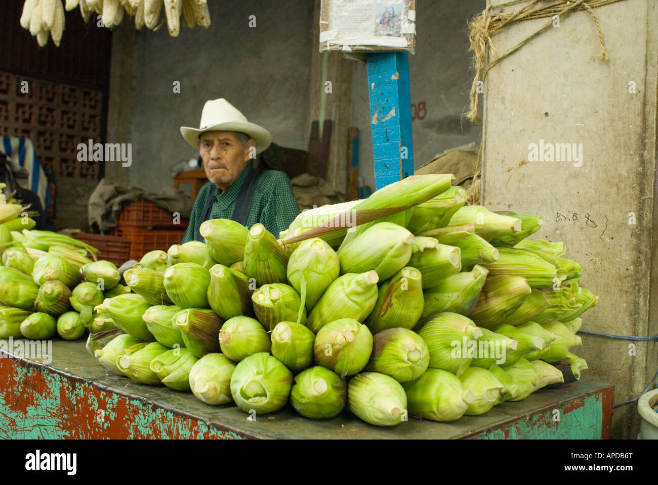 Corn Bunch Stock Photos & Corn Bunch Stock Images - Alamy
