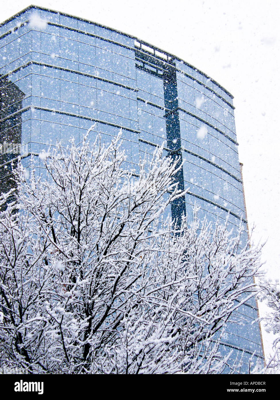 A glass building reflects the weather during a snowstorm Stock Photo ...