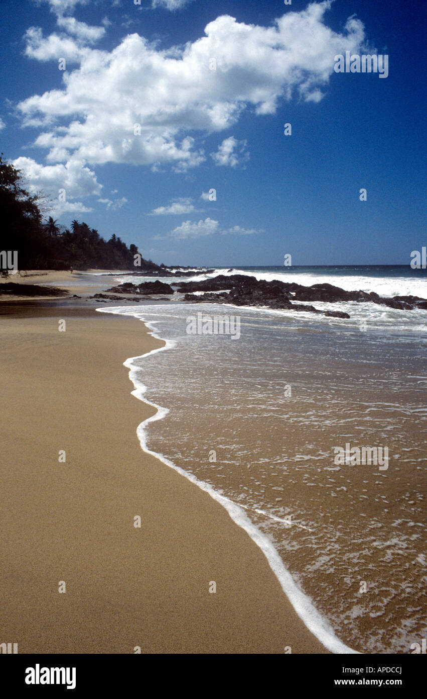 Endless beach in Tobago Stock Photo - Alamy
