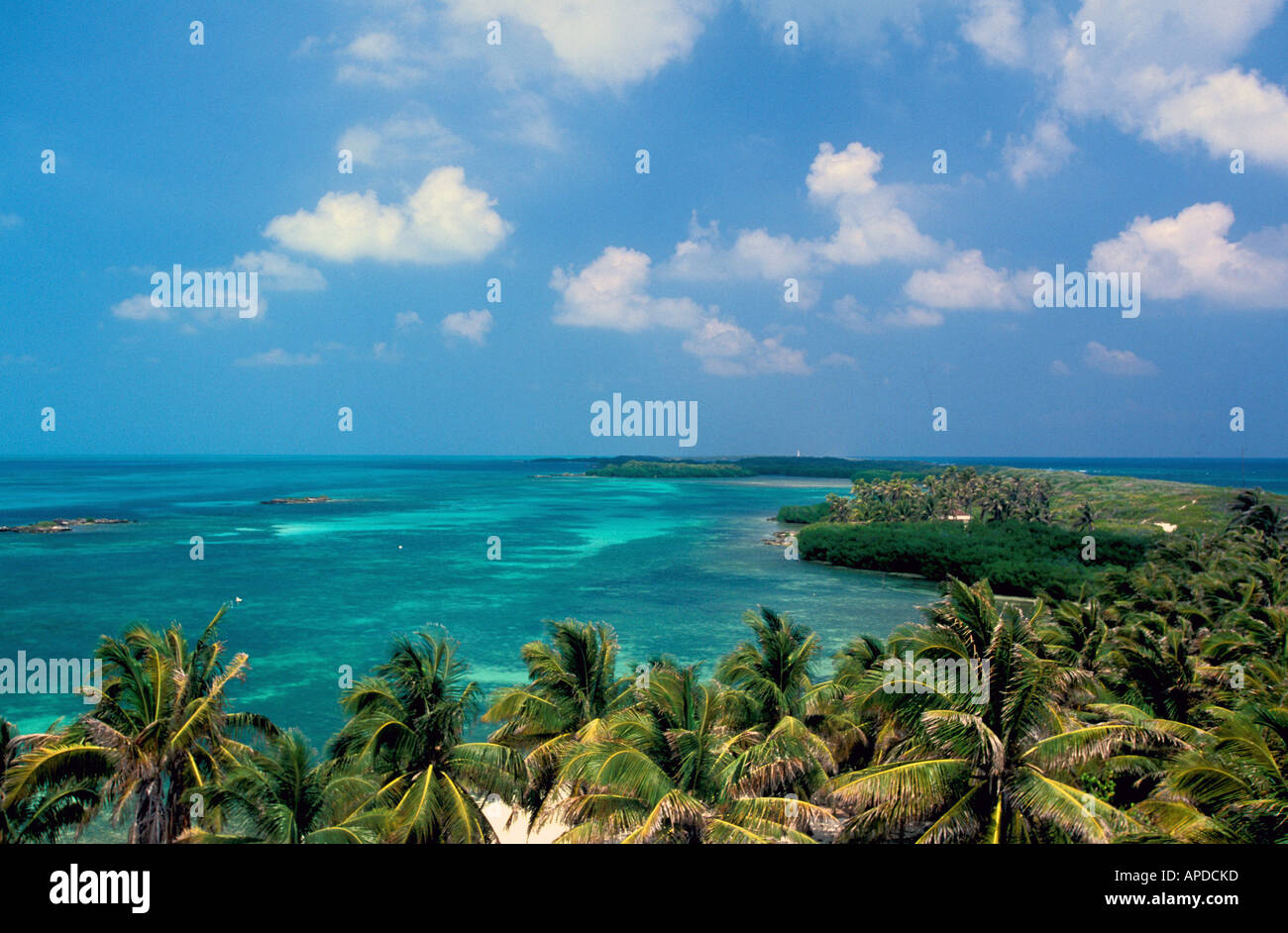 Mexico Isla Contoy National Park Stock Photo - Alamy